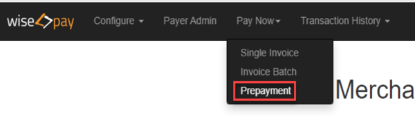 NEW Interface: Merchants, See Wise-Pay Just As Your Customers Do!