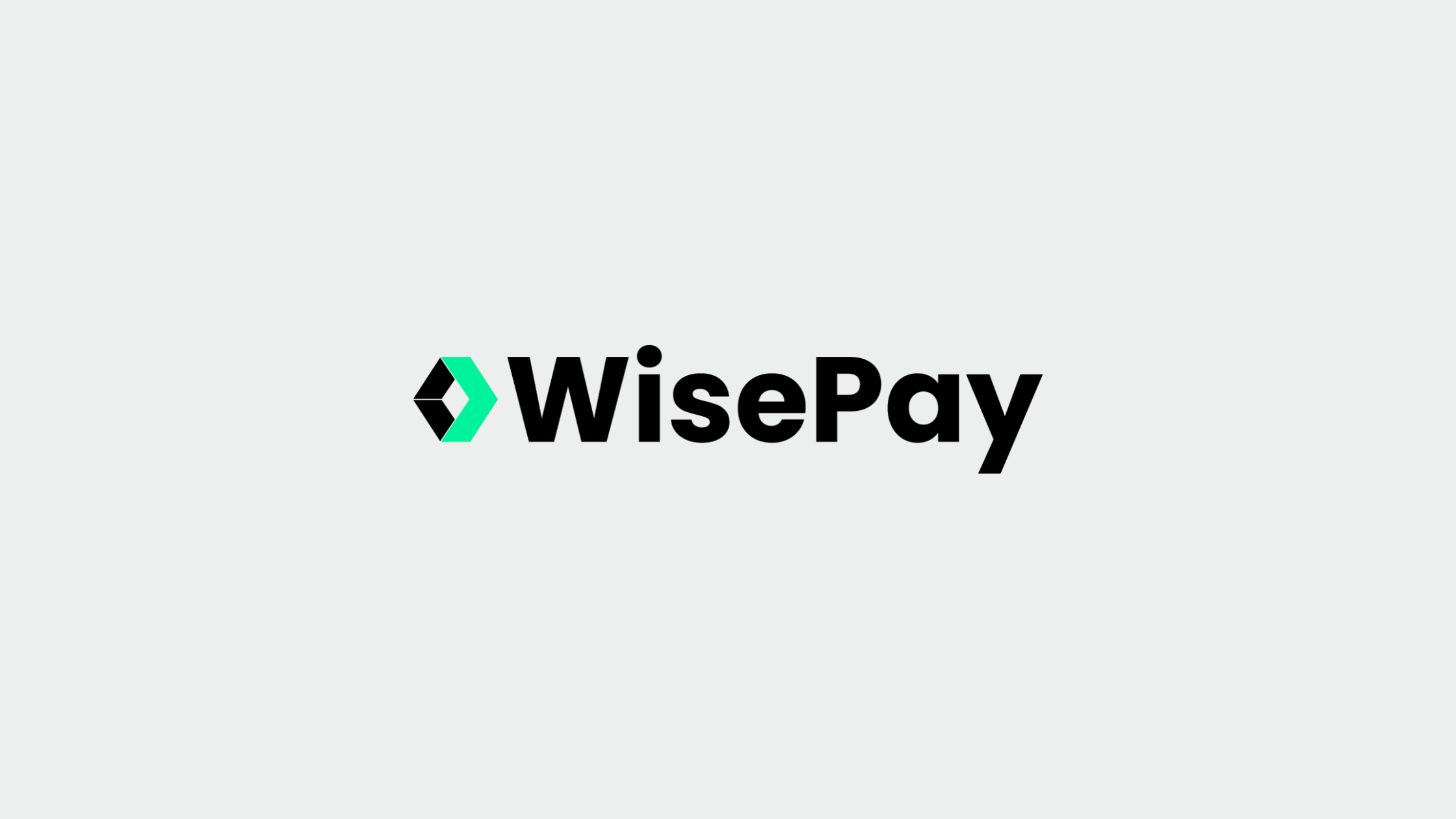 Get Paid Faster With Leading Payment Automation Software | WisePay